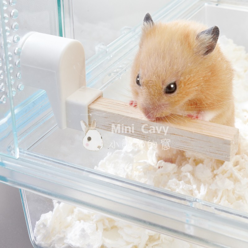 Mini Cavy♥ 日本 GEX 愛鼠掛式 啃咬棒 啃木 | 蝦皮購物