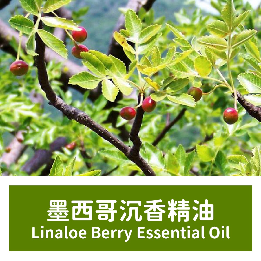 【馥靖精油】墨西哥沉香精油 Linaloe Berry Essential Oil | 蝦皮購物