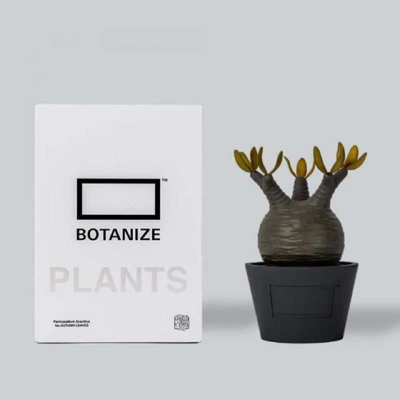 現貨 Botanize x Medicom toy日本潮流象牙宮公仔塊根NEIGHBORHOOD SRL | 蝦皮購物