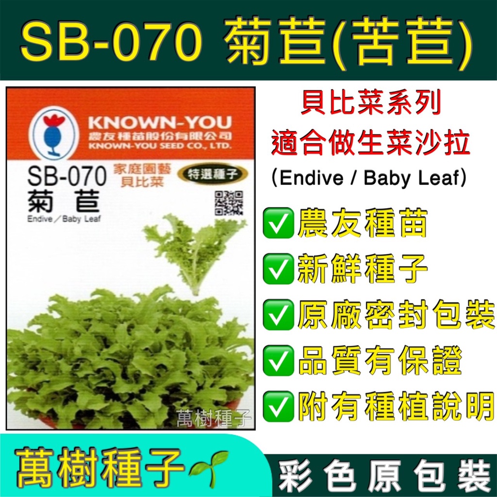 【萬樹種子】SB-070 菊苣(苦苣) 貝比菜系列 特選蔬果種子 農友種苗 彩色密封 原廠包裝 | 蝦皮購物