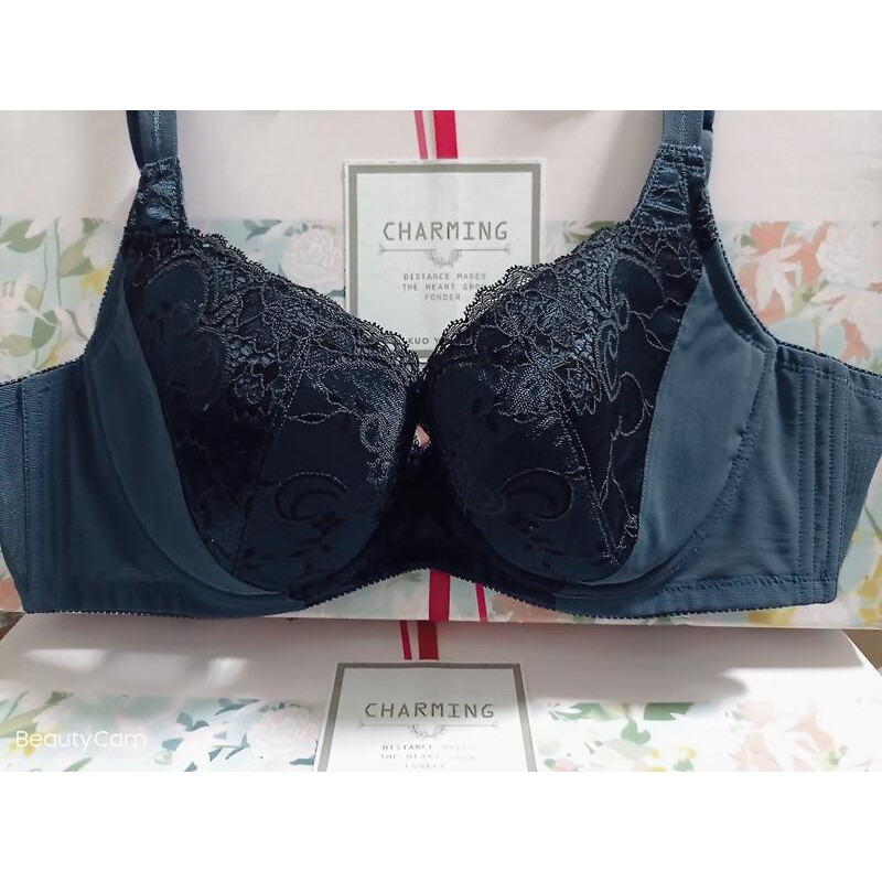 【過季全新商品】Lei轉售蕾黛絲D27-058洛可可75D/80E/80F單內衣(RA深藍) | 蝦皮購物