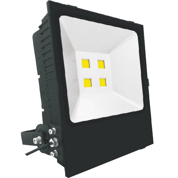 Ceion Lighting 250W 台製COB晶片 投光燈 防水 防塵 IP66 保修兩年 開發票 | 蝦皮購物