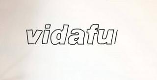 Vidafun V12 防水 耐撞 提把 收納 氣密箱 攝影箱 防潮箱 公司貨 | 蝦皮購物