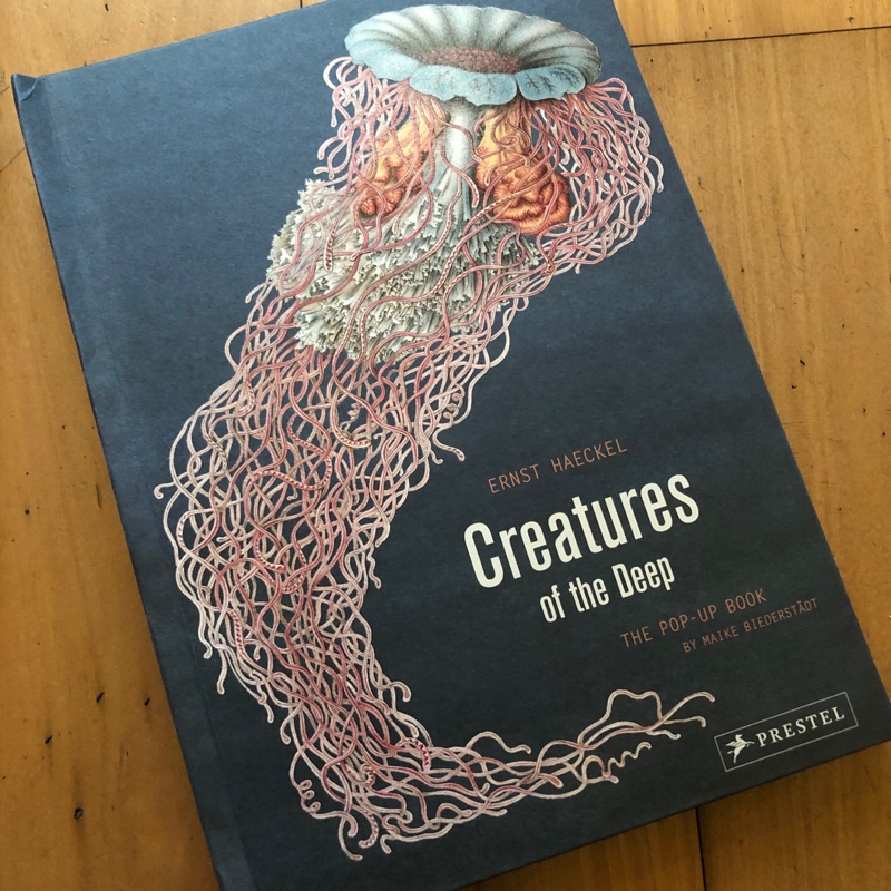 立體書，Creatures of the Deep/7-11到付含運 | 蝦皮購物