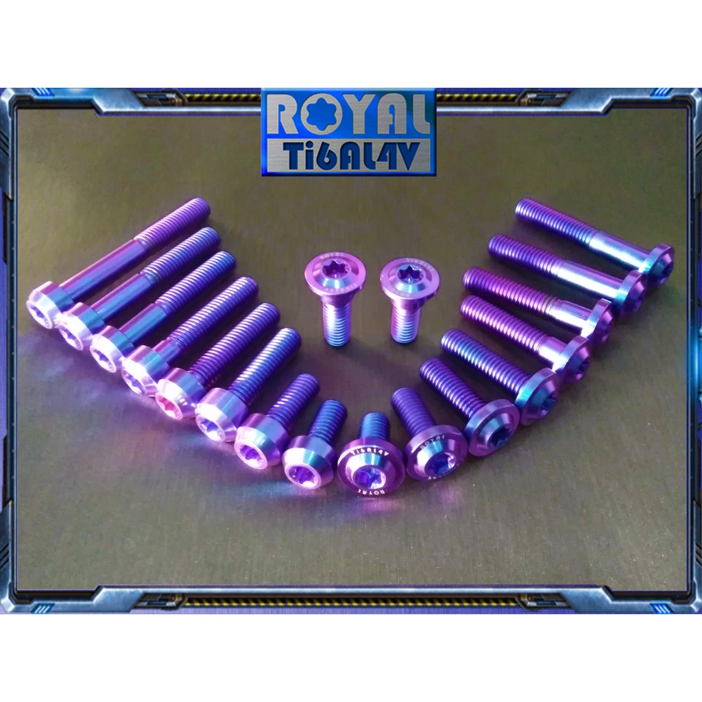【瘋螺絲】ROYAL鈦合金螺絲★M8 個長度 1.25公制牙 64正鈦螺絲★CNC鍛造內梅花.內星型螺絲★幻彩藍 | 蝦皮購物
