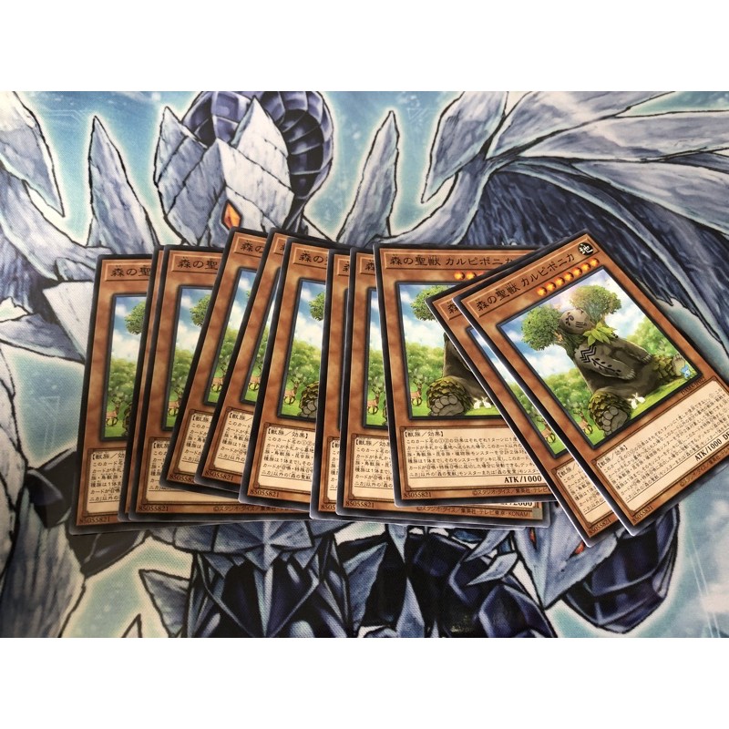 遊戲王 1105 森之聖獸 千金榆熊 DAMA-JP022 | 蝦皮購物