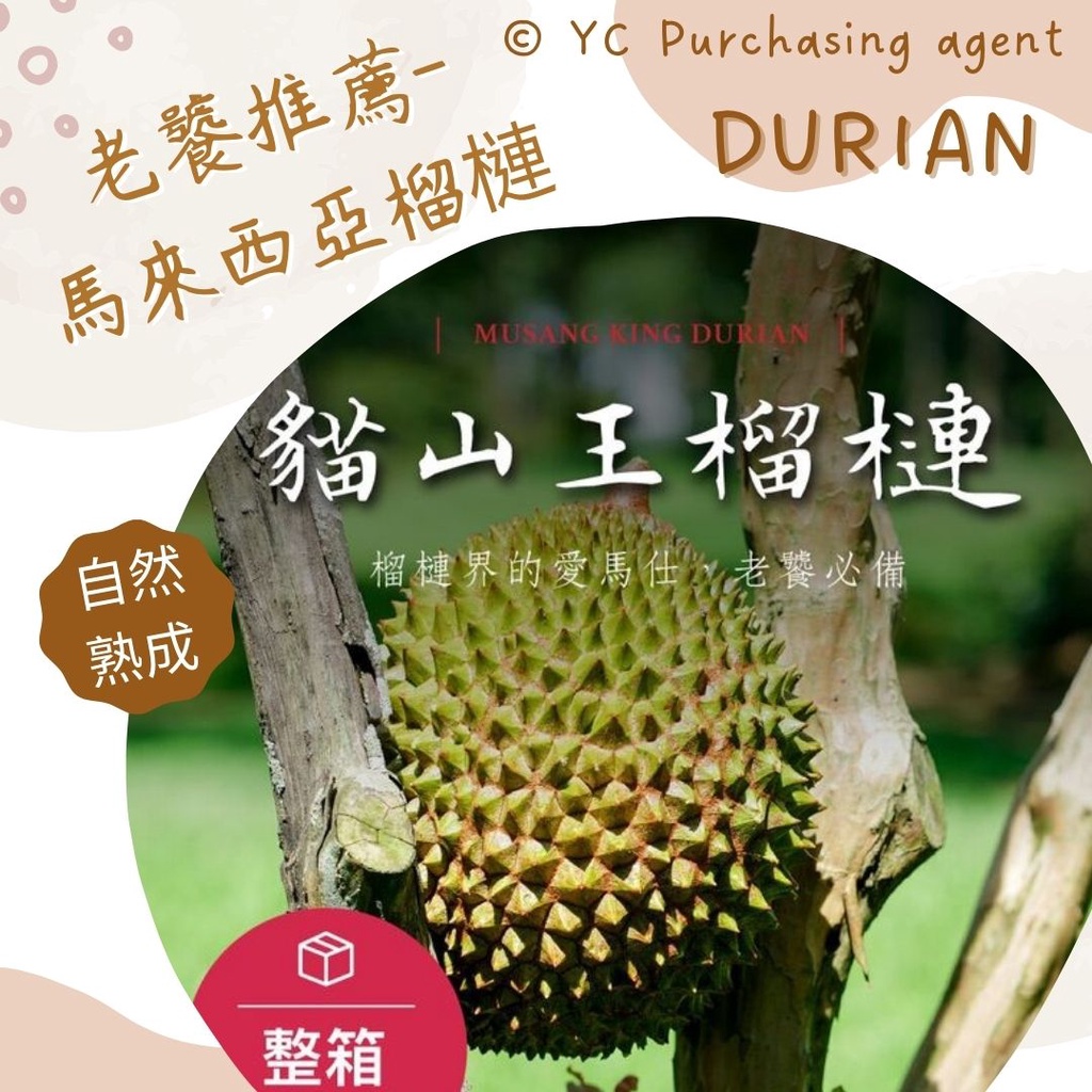 貓山王榴槤【預購】| 馬來西亞-帶殼液態氮冷凍D197(10kg/箱) | 頂級榴槤 | 老饕最愛 | 夏日必吃-貓山王 | 蝦皮購物
