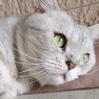 m792 - 優惠推薦 - 2024年1月 | 蝦皮購物台灣