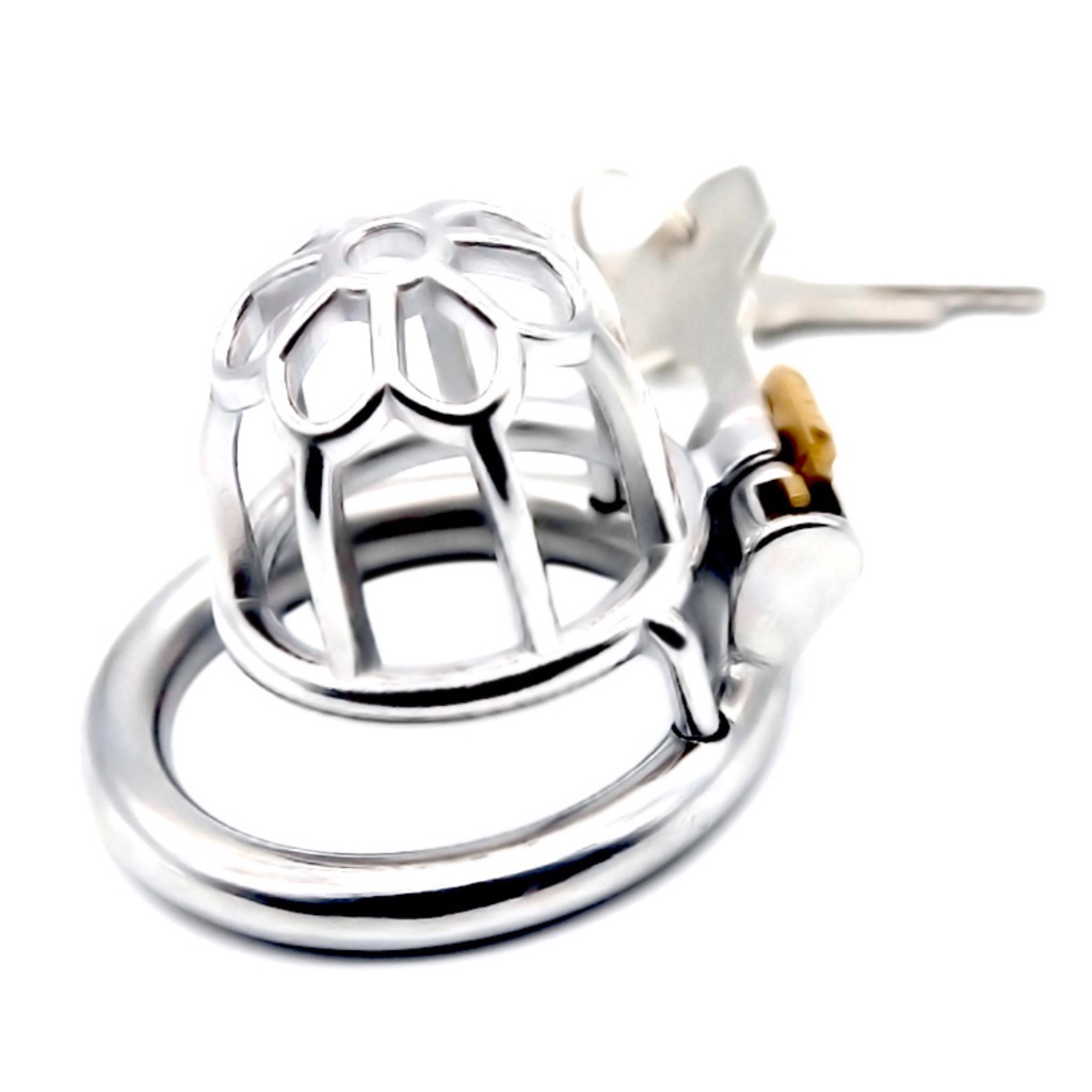 FRRK不銹鋼CB鎖鏤空陽具籠 陰莖鎖貞操鎖禁錮防出軌 BDSM kinky 束縛 調教 虐戀情趣 | 蝦皮購物