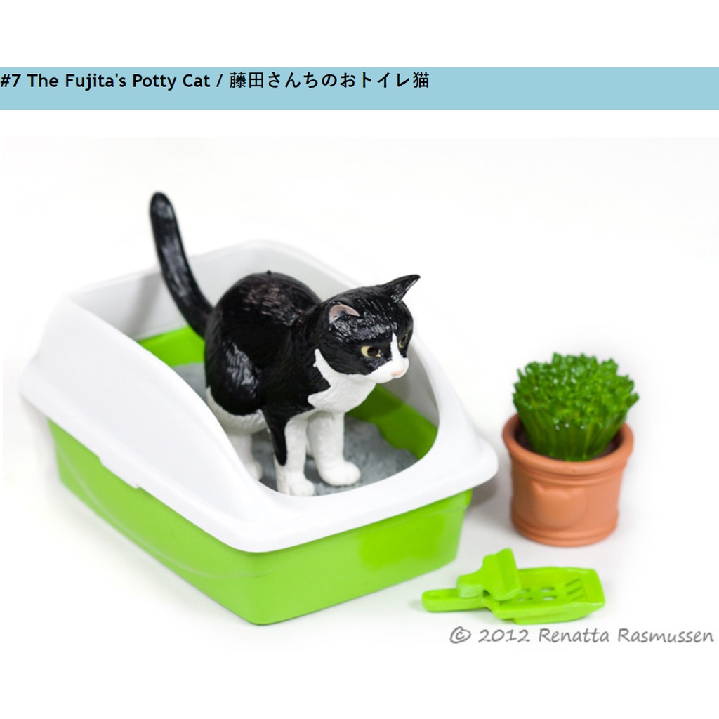 食玩 盒玩 rement RE-Ment 自慢貓 貓咪 引以為傲 貓 動物 絕版 | 蝦皮購物