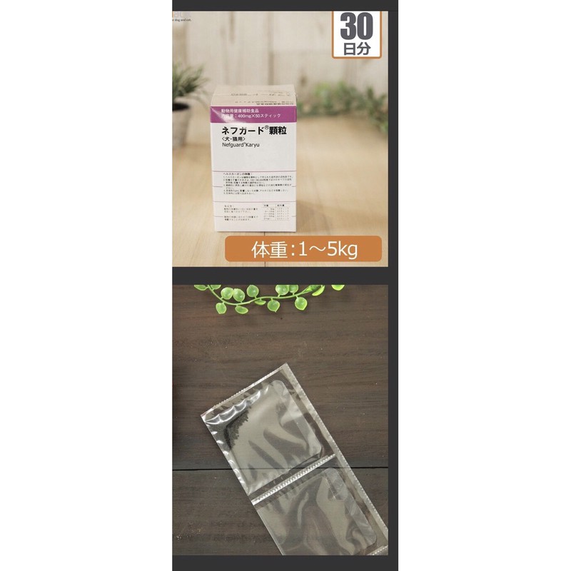 日本共立製藥 Nefguard Karyu 活腎炭 粉劑型 活腎碳 活性碳（犬貓皆可使用） | 蝦皮購物