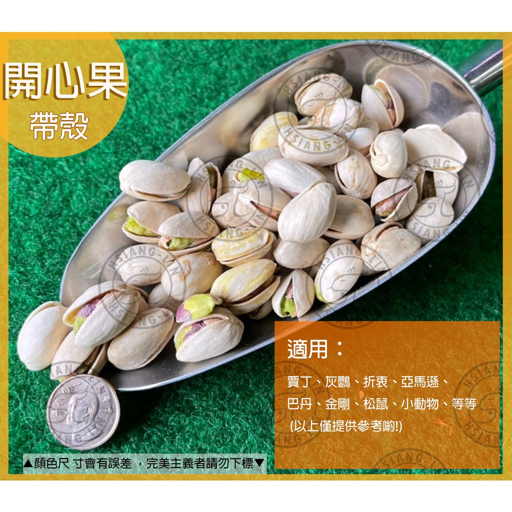 中華鳥園 帶殼開心果-100g/600g (生) 堅果穀物/有殼/點心/零時/鸚鵡/鼠類/小動物 | 蝦皮購物