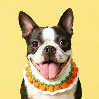 mvp1 - 優惠推薦 - 2024年10月 | 蝦皮購物台灣