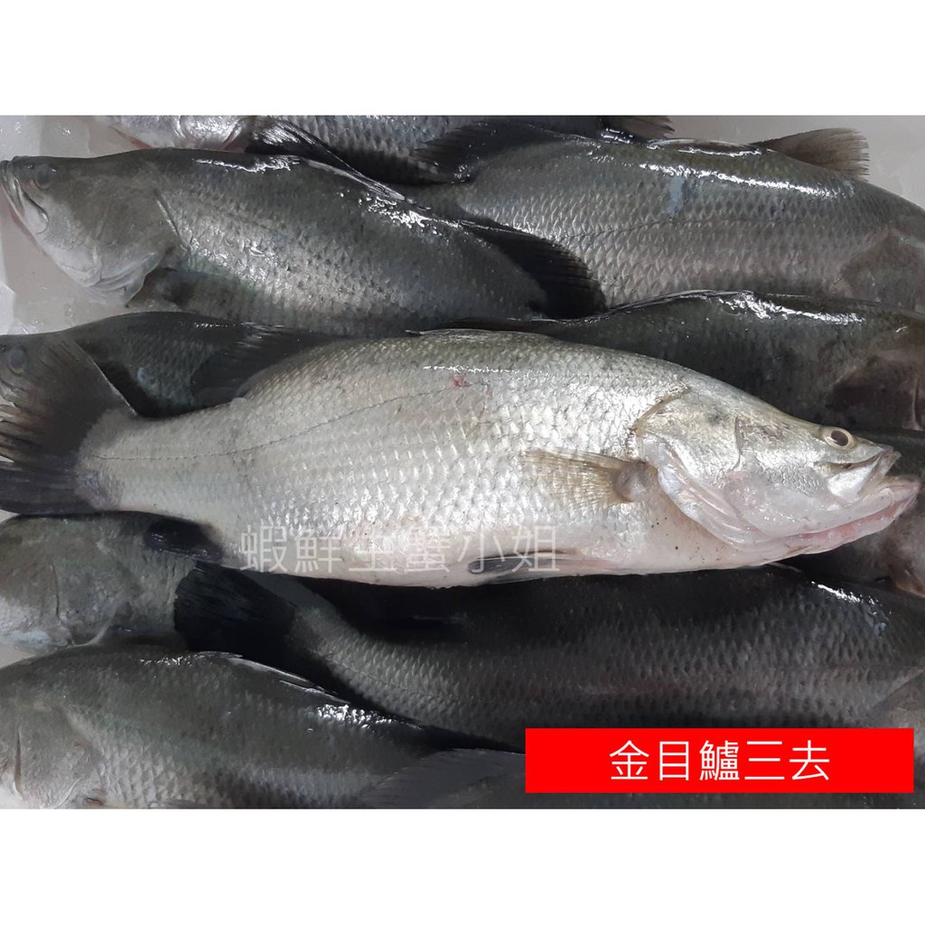 【海鮮7-11】金目鱸魚 三去 600-700g/隻 *新鮮鱸魚 肉細細緻美味 **每隻160元** | 蝦皮購物