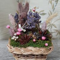 nb960 - 優惠推薦 - 2025年9月 | 蝦皮購物台灣