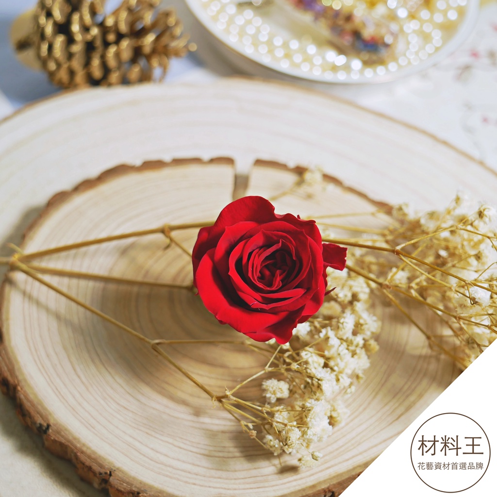 大地農園 永生玫瑰 02370 03480 05202｜2-5公分【日製】EARTHMATTERS 不凋花 玫瑰 永生花 | 蝦皮購物