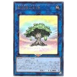 『Micky Lab』日版 遊戲王 SLT1-JP031 聖天樹之幼精 (銀字) 日紙 | 蝦皮購物