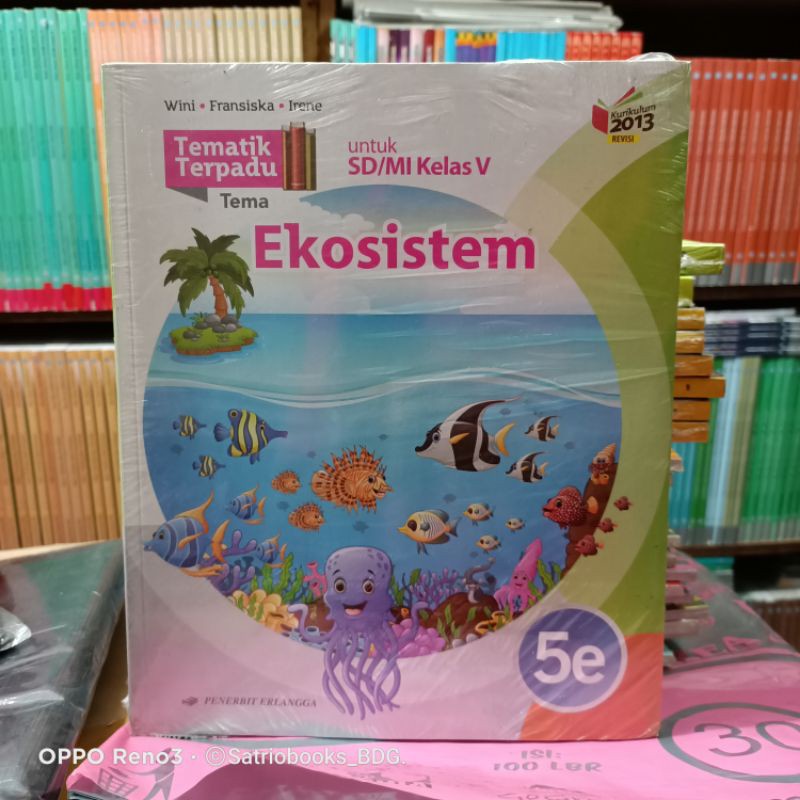 原裝主題erlangga書綜合類5a 5b 5c 5d 5e 5f 5g 5h 5i SD MI課程2013修訂版 | 蝦皮購物