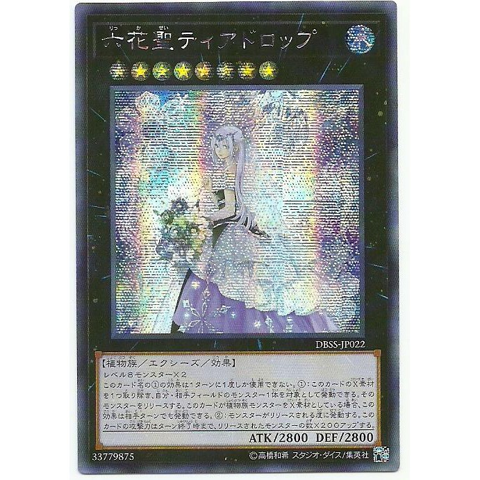 DBSS-JP022 六花聖水滴捧花 (半鑽)周 | 蝦皮購物