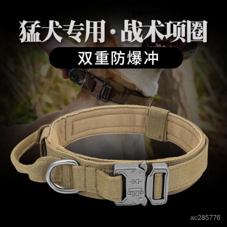 【滿799免運】馬犬專用項圈法鬥薩摩耶狗狗小型犬頸圈不勒脖狗脖套兒格力犬泰迪jioyh A1JZ | 蝦皮購物