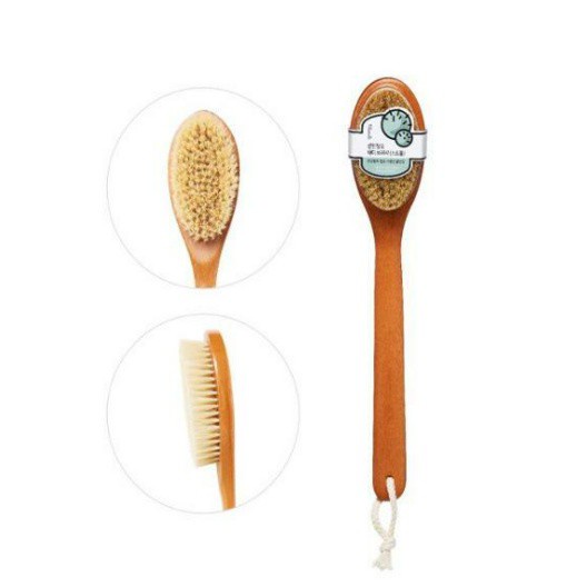 Filimilli 仙人掌身體刷（強力） | 蝦皮購物