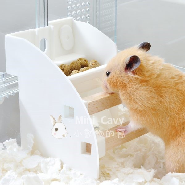 Mini Cavy♥ 日本GEX 愛鼠中島櫃餐桌 碗 啃木 啃咬 | 蝦皮購物