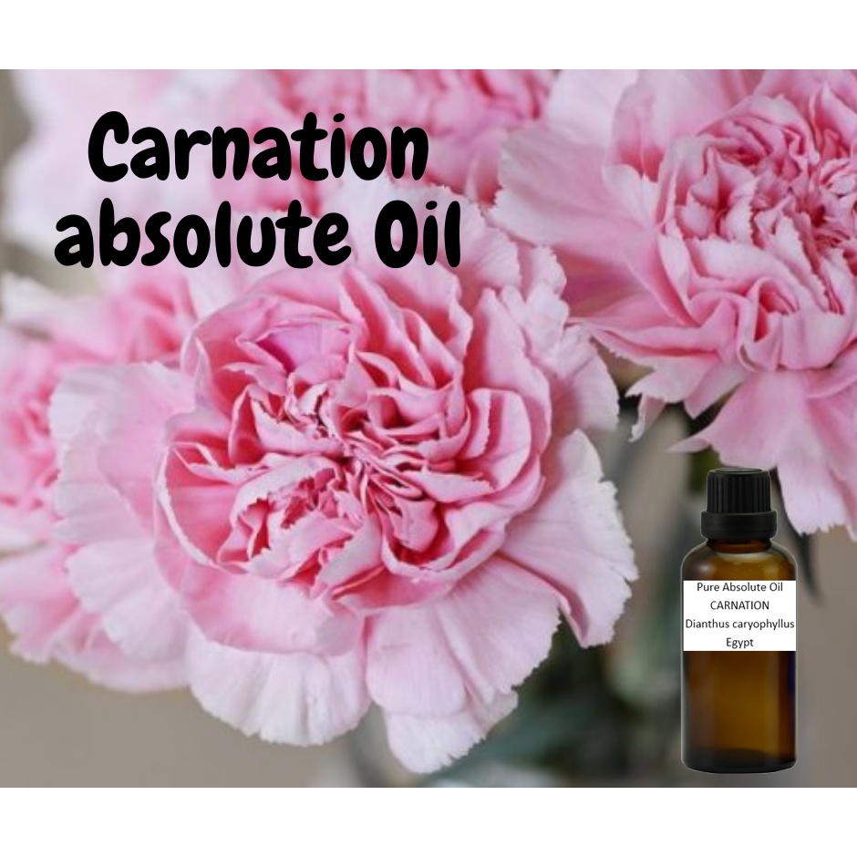 100% 康乃馨原精CARNATION-Pure Absolute Oil | 蝦皮購物