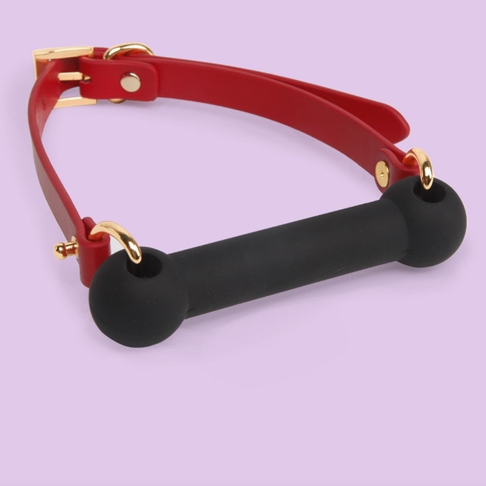 【花花18禁情趣BDSM】sm情趣硅膠狗骨頭 牛皮製 懲罰SM調教 激情遊戲 K9 刑具 口枷 口塞 | 蝦皮購物