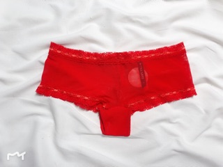 包覆 彈性 透氣蕾絲內褲 Myra Gaye 出清特批價 | 蝦皮購物