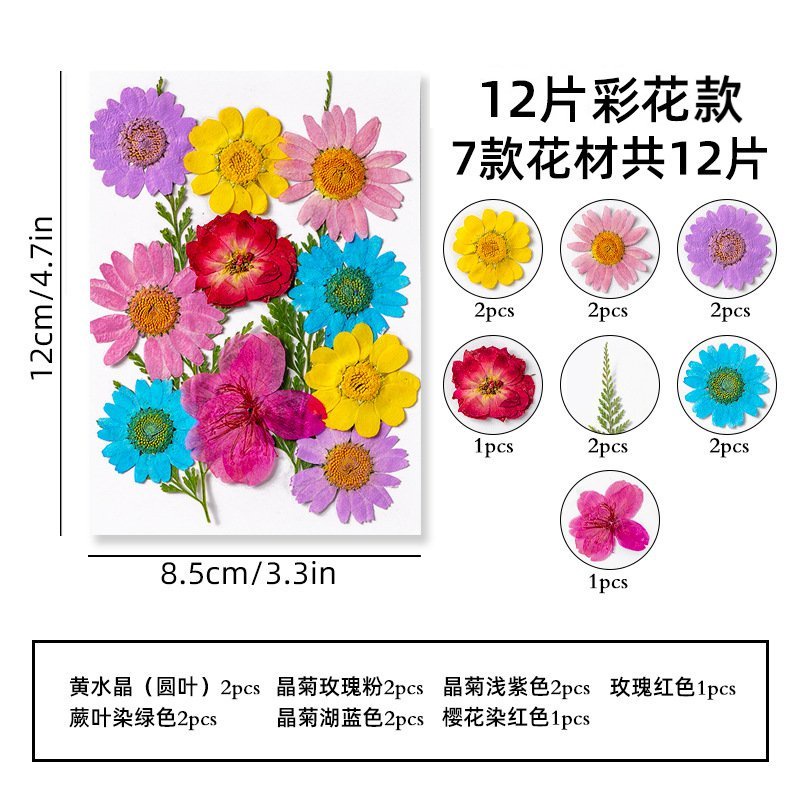 【安琪貝拉DIY手作】AS57【1包12朵】8款☆繽紛系 壓花 乾花 干花 乾燥花 永生花│適用 UV膠 擴香石 蠟燭 | 蝦皮購物