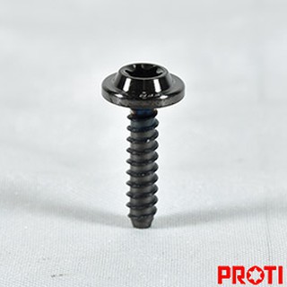 PROTI FFR 正鈦螺絲 VESPA 電瓶蓋螺絲 | 蝦皮購物