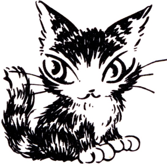 現貨未使用 Wachifield Dayan Bebe Dayan 瓦奇菲爾德 達洋 達洋貓 長夾 長皮夾 草地螢火蟲款 | 蝦皮購物