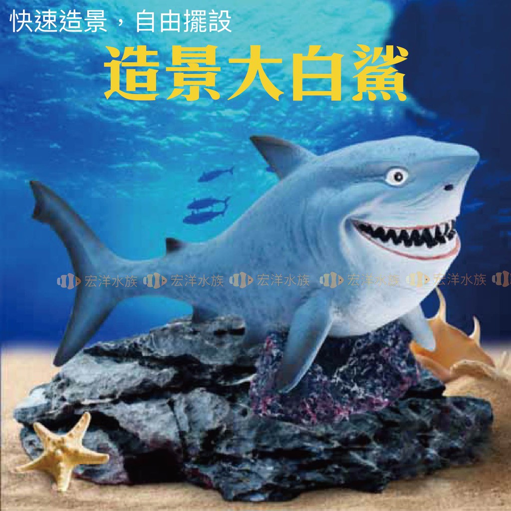 宏洋【鯊魚 大白鯊】 魚缸裝飾品魚缸造景水族箱裝飾品造景魚缸裝飾水族箱裝飾魚缸水族鳳梨屋躲避屋沉船 蝦皮購物 6685