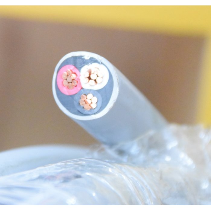 被覆電纜 14mm平方*3芯 VV，PVC 絕緣及被覆電纜線 14mm*3C 14mm²*3C 披覆電纜 零售20米一捲 | 蝦皮購物