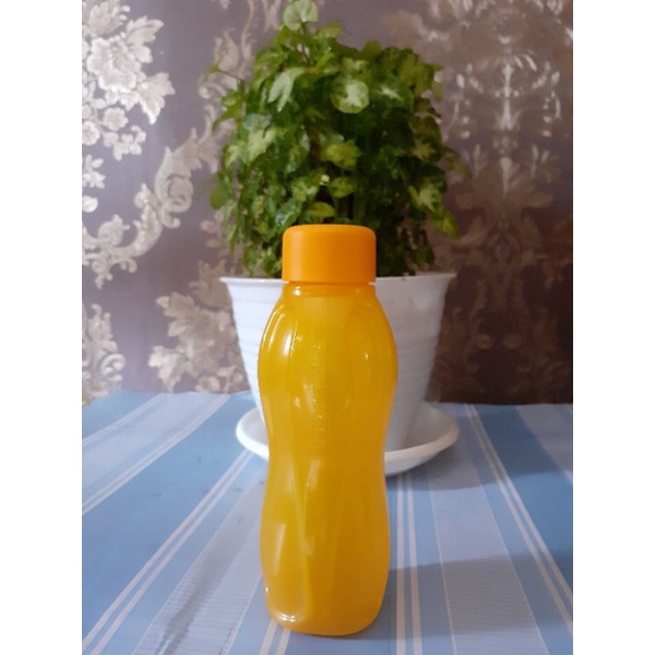 環保瓶 310ml 零售 | 蝦皮購物