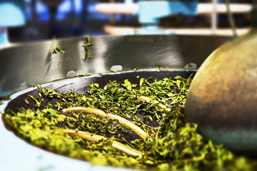 Thomas MEAT × DOPENESS ART LAB 梨山禪蜜紅茶 25g | 蝦皮購物