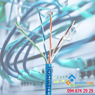 Hosiwell Cat.5e UTP 網絡電纜 25P x 24 AWG | 蝦皮購物