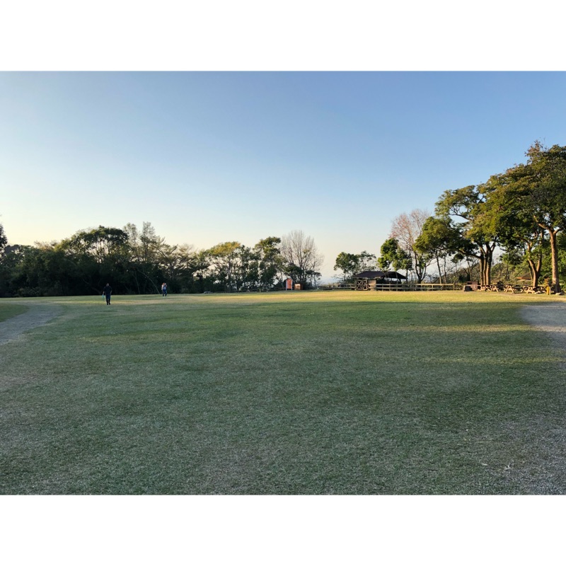 限定Nicholas Lin | 蝦皮購物