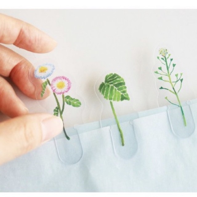 現貨【含發票】日本Koniwa 花草透明書夾【HUAYUE】 | 蝦皮購物