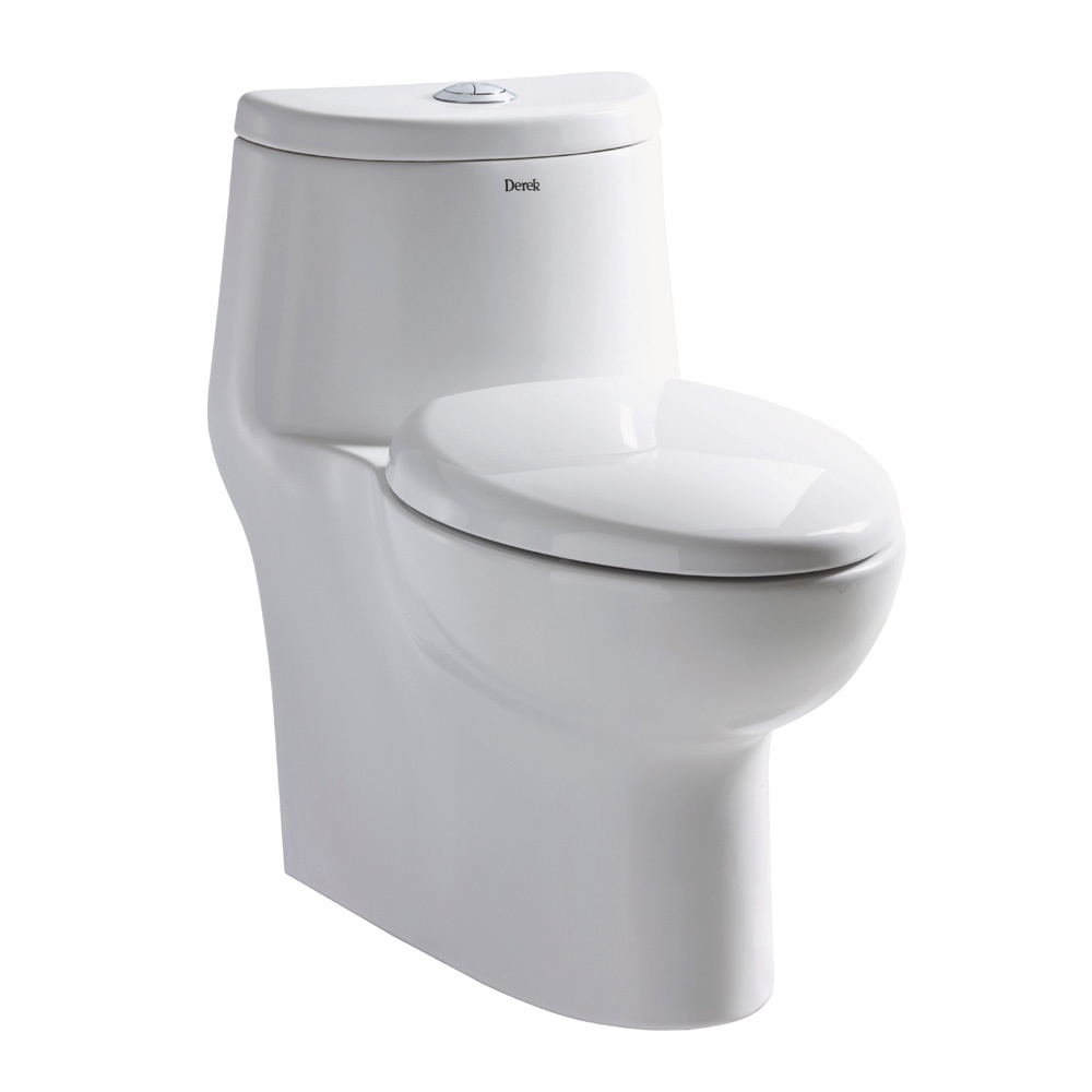 Derek德瑞克 C662 二段省水高背單體馬桶 台中市出貨 | 蝦皮購物