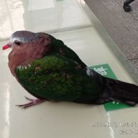 eb03 - 優惠推薦 - 2025年11月 | 蝦皮購物台灣