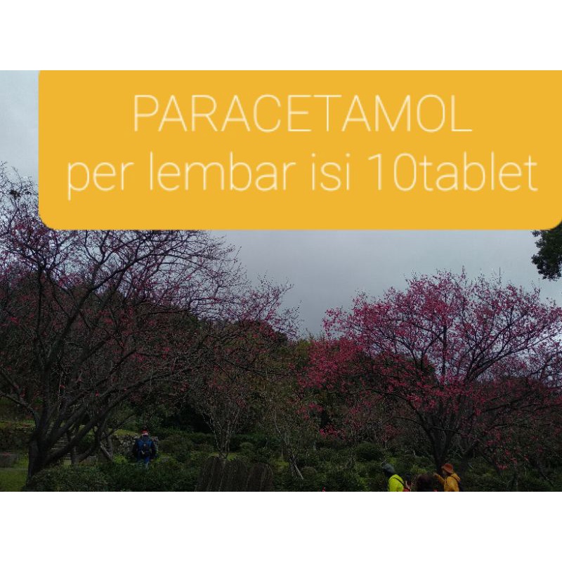 paracetamol per lembar isi 10 tablet | 蝦皮購物
