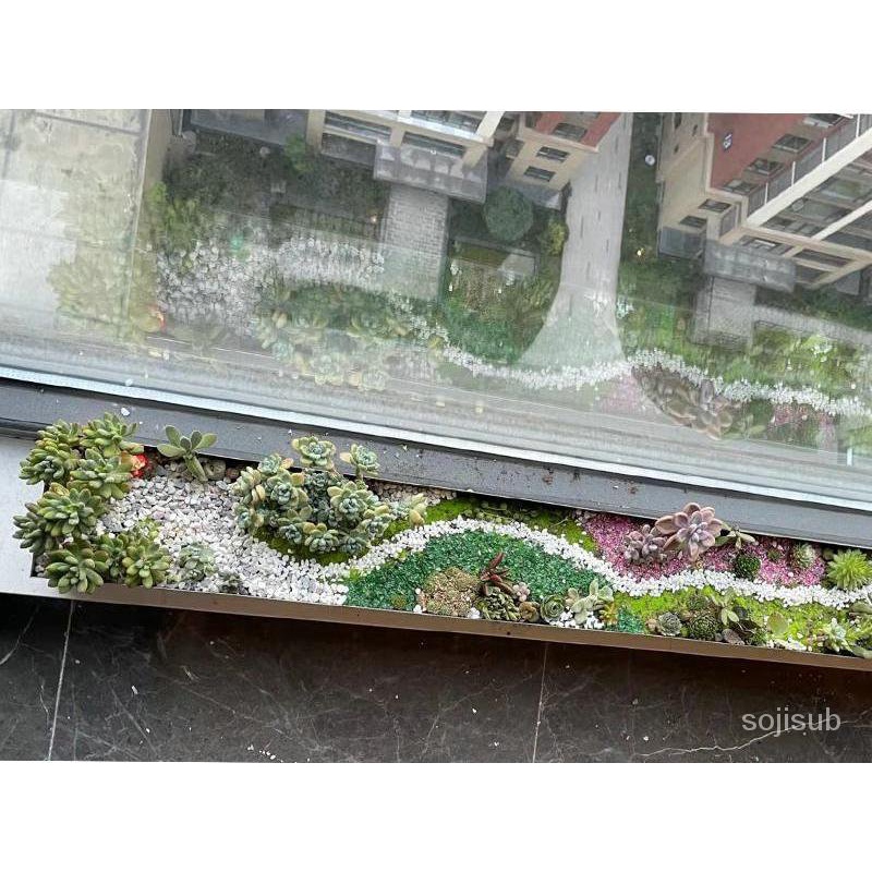 訂製不銹鋼槽子 不銹鋼花槽 花盆 陽臺專用長方形水槽 水培多肉戶外種菜盆 | 蝦皮購物