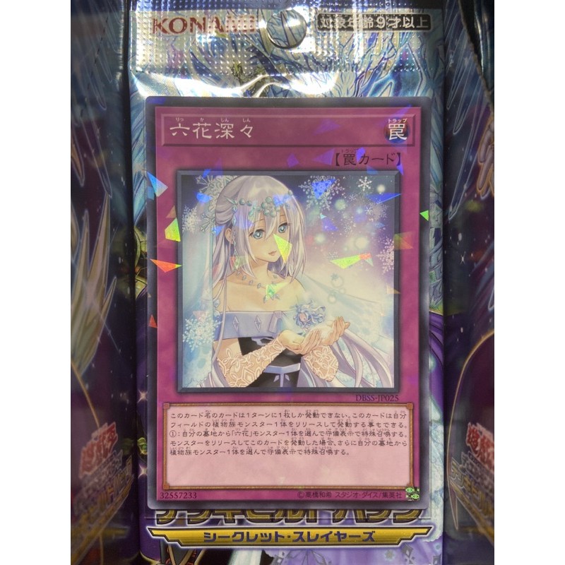 韓紙 DBSS-JP025 六花 深深（碎鑽） | 蝦皮購物