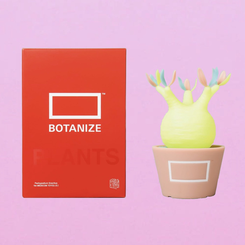 BOTANIZE MEDICOM TOY VCD Pachypodium Gracilius 象牙宮 塊根 模型 蓄光色 | 蝦皮購物
