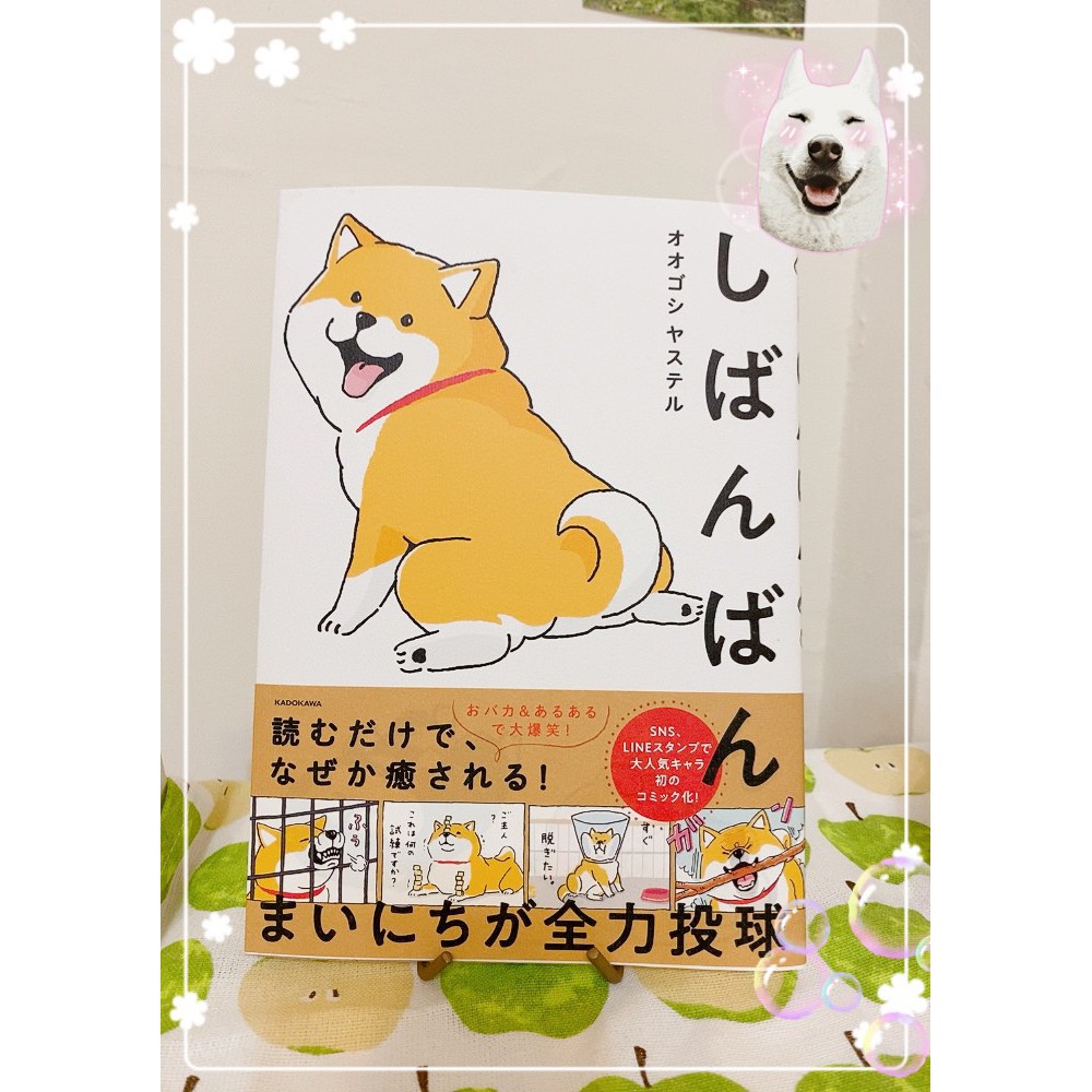 (現貨1本)SHIBANBAN 微笑柴犬 柴犬邦邦 しばんばん 插畫公式書 MW官方正版 2020/12/10出品 | 蝦皮購物