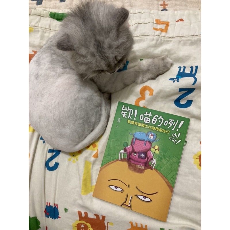 「二手書」蛋頭 eh!cat! 欸！喵的咧！ | 蝦皮購物