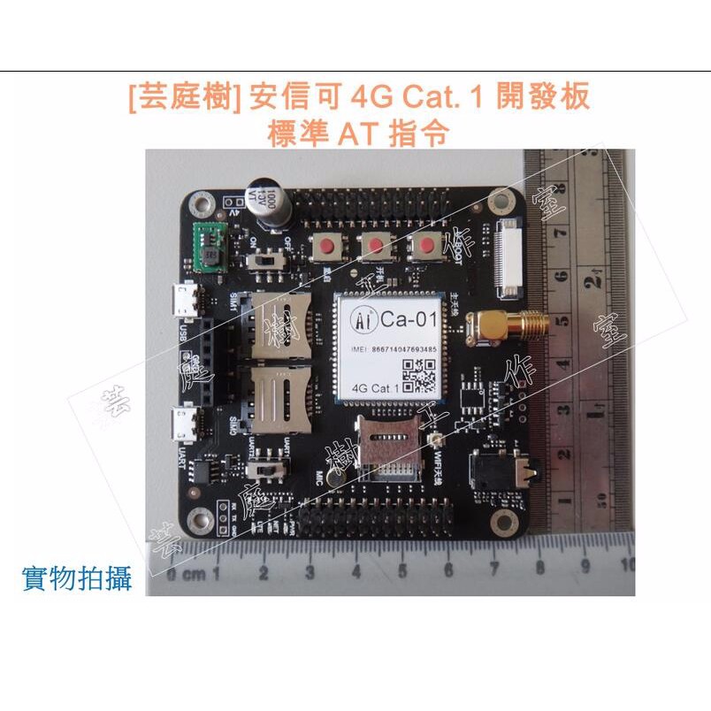 [芸庭樹] 現貨 安信可原廠 4G Cat. 1 開發板 CA-01 模組 | 蝦皮購物