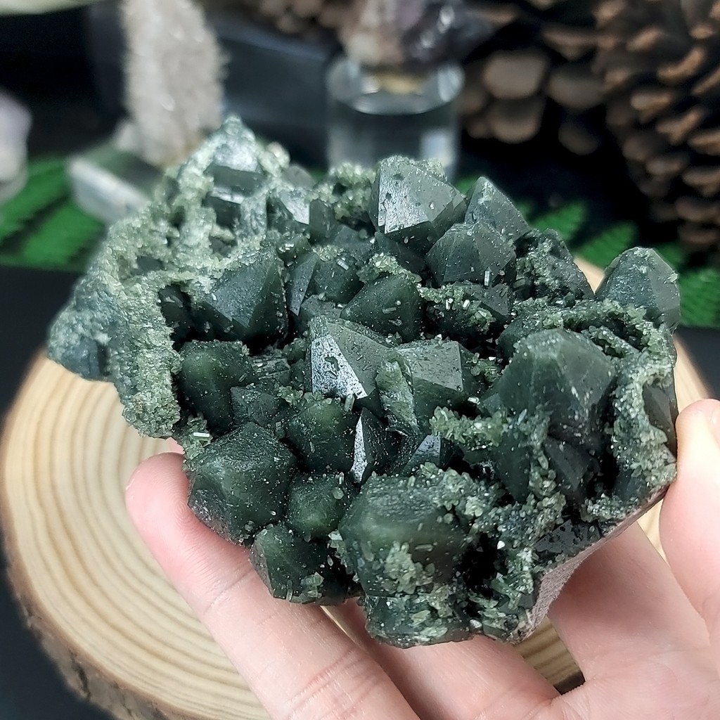 ．艾莉希亞寶石水晶．35內蒙古綠水晶 Prasem Quartz 內蒙綠水晶 綠水晶簇 水晶簇 水晶柱 | 蝦皮購物
