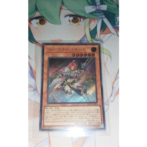 WPP2 戰吼者 史基拉 WPP2-JP031 (斜鑽) | 蝦皮購物